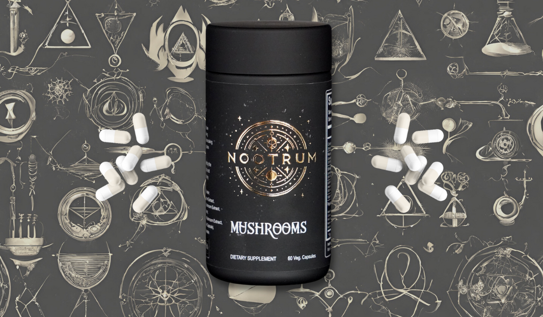 Nootrum | Mushrooms for Your Body and Mind